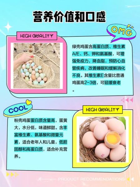 绿壳鸡蛋和普通鸡蛋的区别_绿壳鸡蛋营养价值高吗-第2张图片-山城妙识