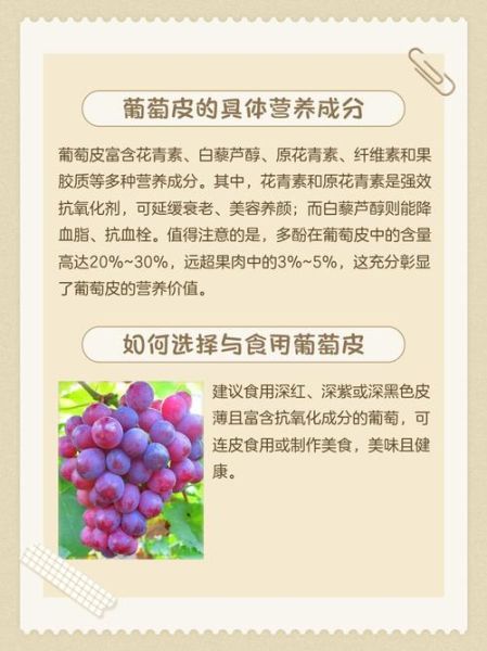 吃葡萄不吐葡萄皮好吗_葡萄皮到底能不能吃-第1张图片-山城妙识
