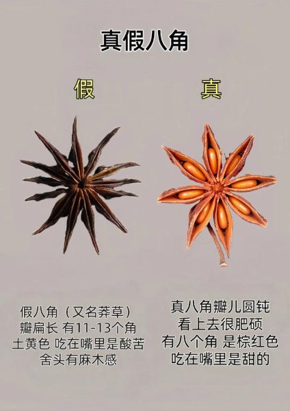 大料是什么意思_大料和八角的区别-第1张图片-山城妙识