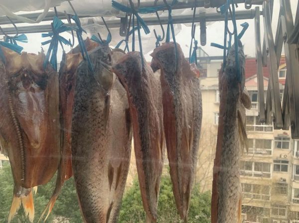 腊鱼怎么腌制好吃_腊鱼腌制多久可以晒-第2张图片-山城妙识 腊鱼怎么腌制好吃_腊鱼腌制多久可以晒-第2张图片-山城妙识