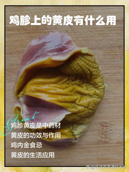 鸡胗的营养价值及危害_吃鸡胗会上火吗-第1张图片-山城妙识 鸡胗的营养价值及危害_吃鸡胗会上火吗-第1张图片-山城妙识