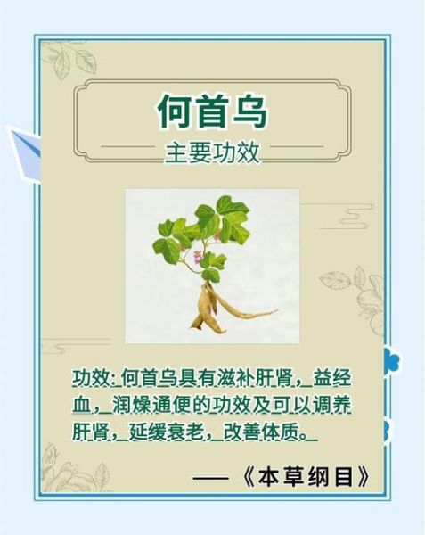 何首乌的毒性有多大_如何安全服用何首乌-第1张图片-山城妙识