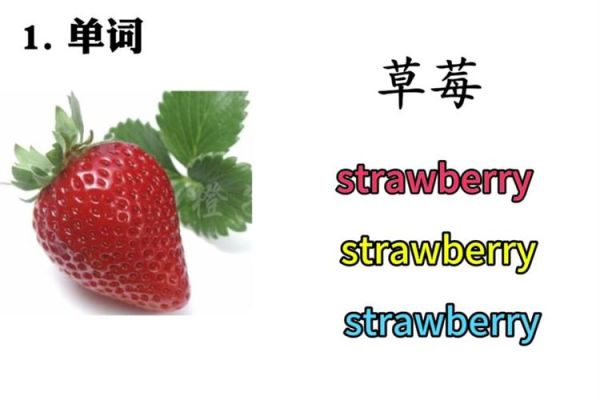 strawberry怎么拼写_strawberry复数形式-第1张图片-山城妙识 strawberry怎么拼写_strawberry复数形式-第1张图片-山城妙识