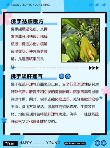 佛手的功效与作用及副作用_佛手吃多了会怎样-第1张图片-山城妙识