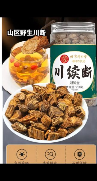 川断功效作用与主治_川断补肾壮阳效果好吗-第3张图片-山城妙识 川断功效作用与主治_川断补肾壮阳效果好吗-第3张图片-山城妙识