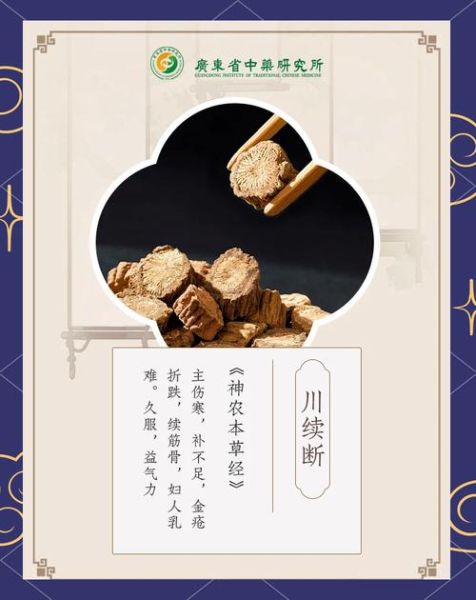 川断功效作用与主治_川断补肾壮阳效果好吗-第1张图片-山城妙识 川断功效作用与主治_川断补肾壮阳效果好吗-第1张图片-山城妙识