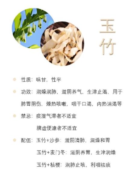 玉竹的功效与作用禁忌_玉竹怎么吃效果最好-第3张图片-山城妙识 玉竹的功效与作用禁忌_玉竹怎么吃效果最好-第3张图片-山城妙识