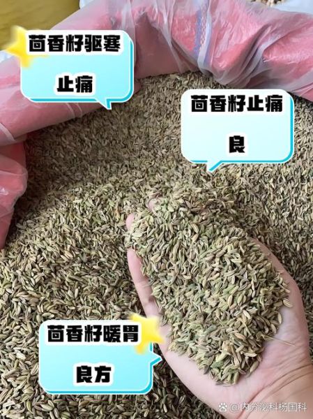 茴香对子宫有好处吗_茴香籽泡水能调理子宫吗-第1张图片-山城妙识