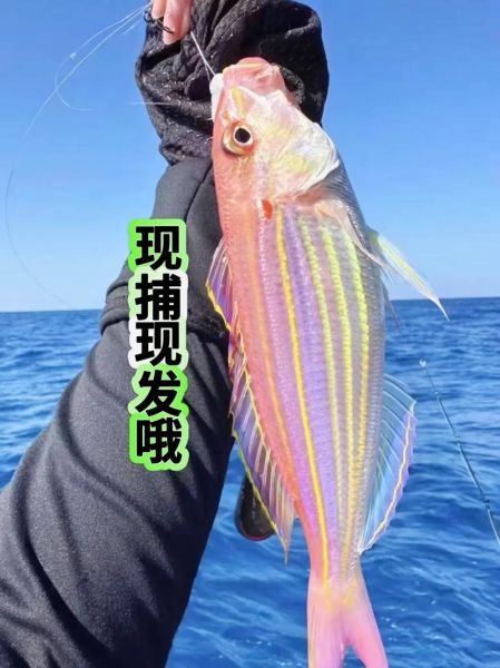 孕妇可以吃金线鱼吗_金线鱼对孕妇的好处与禁忌-第3张图片-山城妙识