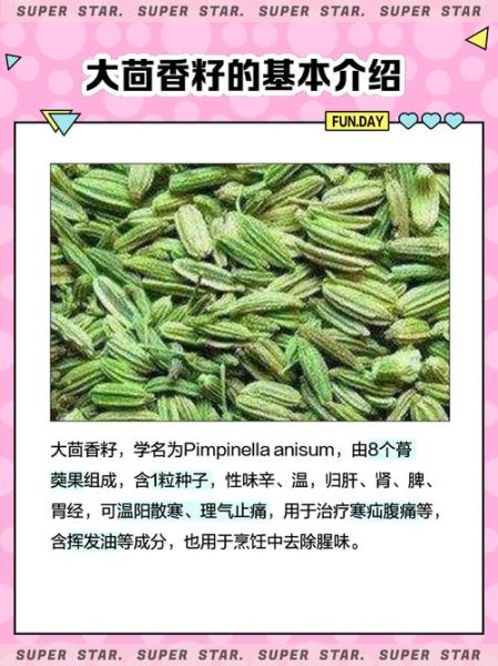 茴香对子宫有好处吗_茴香籽泡水能调理子宫吗-第3张图片-山城妙识