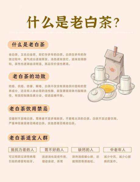 喝白茶的好处有哪些_白茶的功效与作用-第3张图片-山城妙识