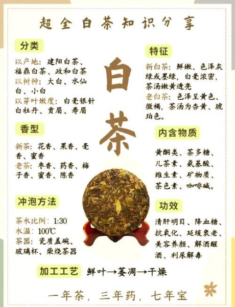 喝白茶的好处有哪些_白茶的功效与作用-第1张图片-山城妙识