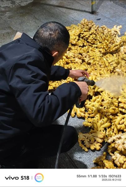 生姜价格周期多久_生姜什么时候最便宜-第2张图片-山城妙识