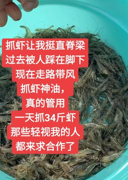 河虾怎么养才不会死_抓回来的河虾怎么养活-第1张图片-山城妙识 河虾怎么养才不会死_抓回来的河虾怎么养活-第1张图片-山城妙识