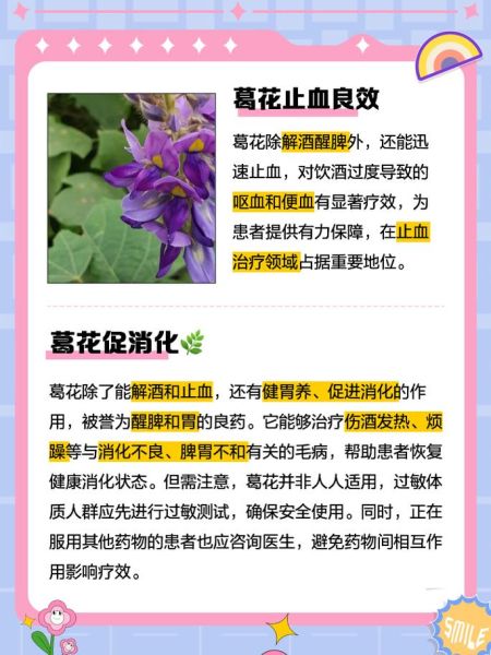 葛根花的副作用_葛根花泡水喝的禁忌-第3张图片-山城妙识