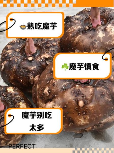 吃魔芋的禁忌_哪些人不能吃魔芋-第1张图片-山城妙识