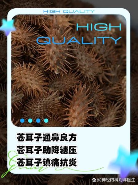 苍耳子能治鼻炎吗_苍耳子副作用有哪些-第3张图片-山城妙识
