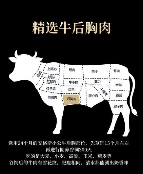 肥牛片是牛的哪个部位_肥牛片是什么肉-第1张图片-山城妙识 肥牛片是牛的哪个部位_肥牛片是什么肉-第1张图片-山城妙识