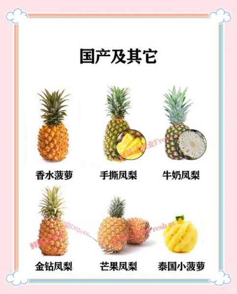 凤梨和菠萝的区别_怎么区分凤梨和菠萝-第3张图片-山城妙识