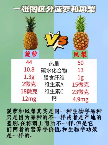 凤梨和菠萝的区别_怎么区分凤梨和菠萝-第2张图片-山城妙识