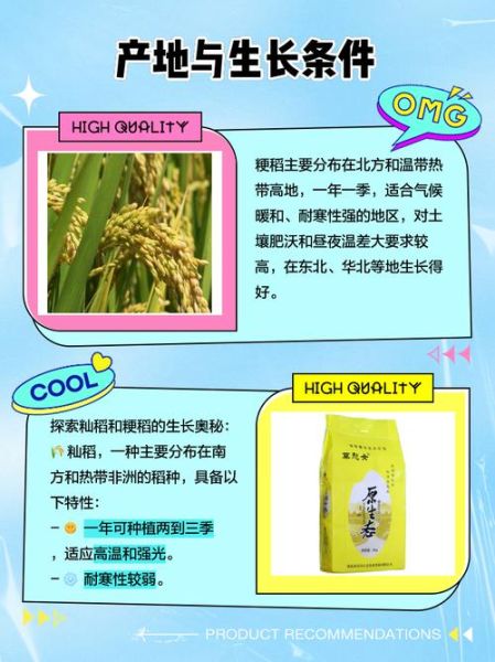 籼稻和粳稻的区别_籼稻和粳稻哪个好吃-第1张图片-山城妙识 籼稻和粳稻的区别_籼稻和粳稻哪个好吃-第1张图片-山城妙识