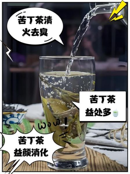 苦丁茶怎么喝减肥最快_苦丁茶减肥正确方法-第1张图片-山城妙识