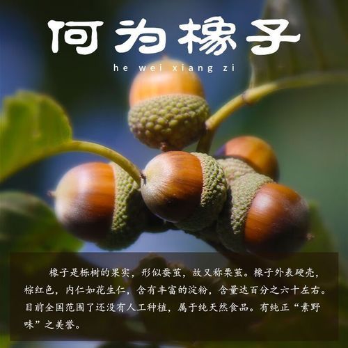 橡子豆腐怎么做_橡子粉与水的黄金比例-第2张图片-山城妙识