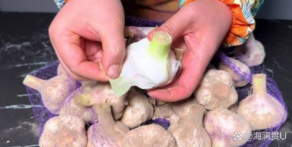 腊八蒜不绿还可以二次补救吗_腊八蒜变绿失败怎么办-第1张图片-山城妙识