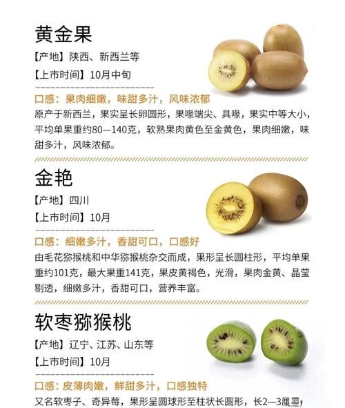 猕猴桃的功效与作用及禁忌_什么人不能吃-第2张图片-山城妙识 猕猴桃的功效与作用及禁忌_什么人不能吃-第2张图片-山城妙识