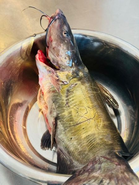 乌江鱼怎么做才好吃_乌江鱼最正宗的做法-第1张图片-山城妙识