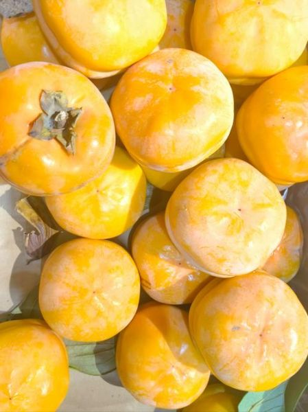 秋天吃什么水果_秋天适合吃什么水果-第1张图片-山城妙识