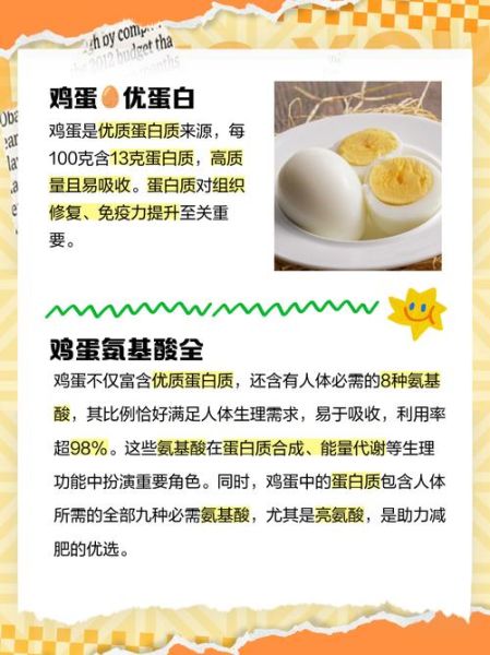 鸡蛋一天吃几个合适_鸡蛋蛋白质含量高吗-第1张图片-山城妙识