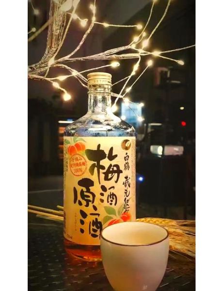 梅子酒哪个牌子好喝_梅子酒怎么选-第1张图片-山城妙识