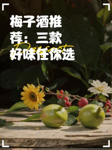 梅子酒哪个牌子好喝_梅子酒怎么选-第2张图片-山城妙识