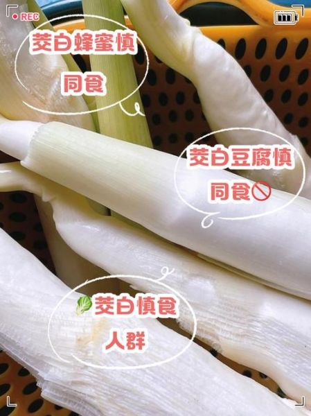 茭白什么人不能吃_茭白功效与作用禁忌-第1张图片-山城妙识