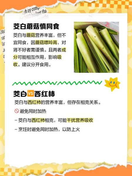 茭白什么人不能吃_茭白功效与作用禁忌-第3张图片-山城妙识