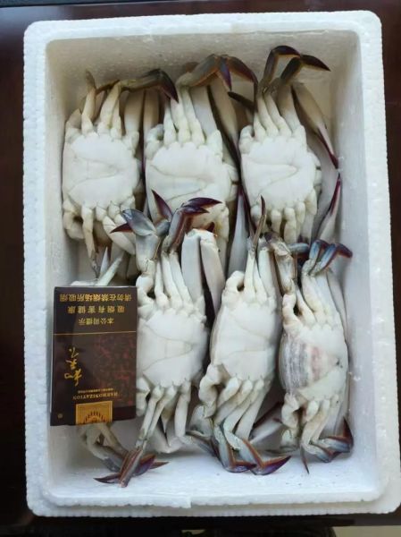 活螃蟹放带冰的泡沫箱能活多久_运输注意事项-第2张图片-山城妙识