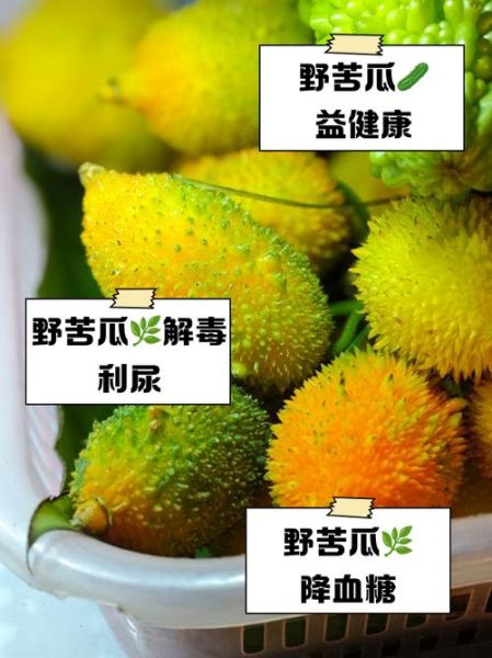 山苦瓜图片_山苦瓜功效与作用-第2张图片-山城妙识