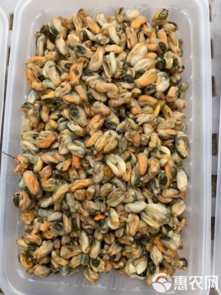 海瓜子肉发白_还能吃吗-第3张图片-山城妙识