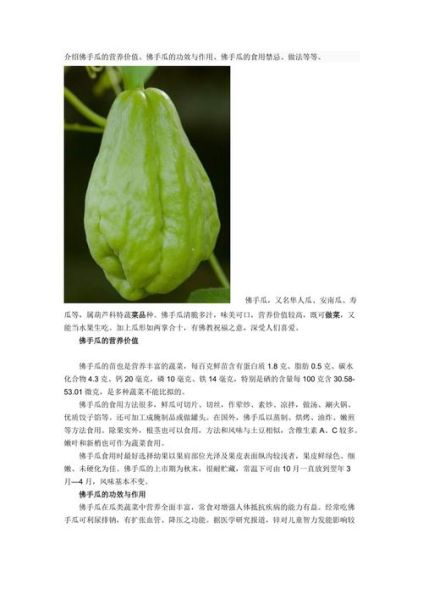 佛手瓜的功效与禁忌_孕妇能吃吗-第3张图片-山城妙识