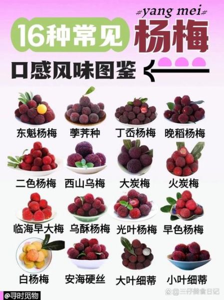 新鲜杨梅的功效与作用_怎么吃最好-第1张图片-山城妙识