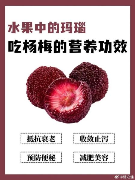 新鲜杨梅的功效与作用_怎么吃最好-第2张图片-山城妙识