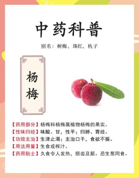 新鲜杨梅的功效与作用_怎么吃最好-第3张图片-山城妙识