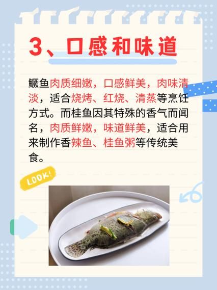 鲑鱼和桂鱼的区别_哪个更好吃-第1张图片-山城妙识 鲑鱼和桂鱼的区别_哪个更好吃-第1张图片-山城妙识