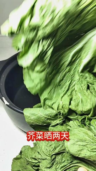 老坛酸菜怎么腌制_正宗老坛酸菜做法-第1张图片-山城妙识