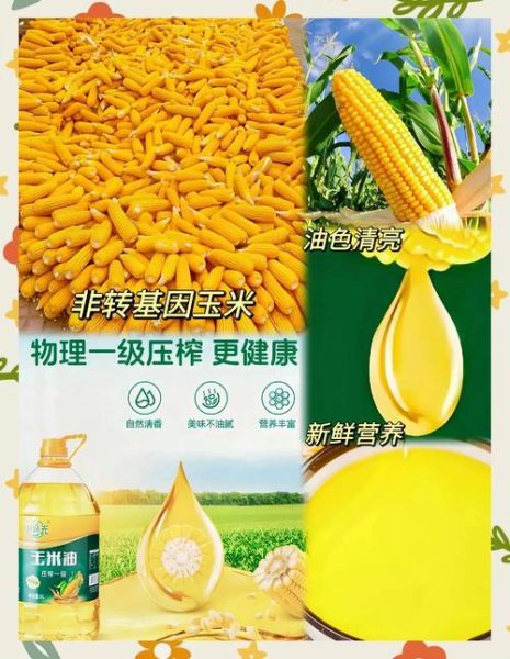 玉米胚芽油和花生油哪个好_玉米胚芽油和花生油营养对比-第2张图片-山城妙识