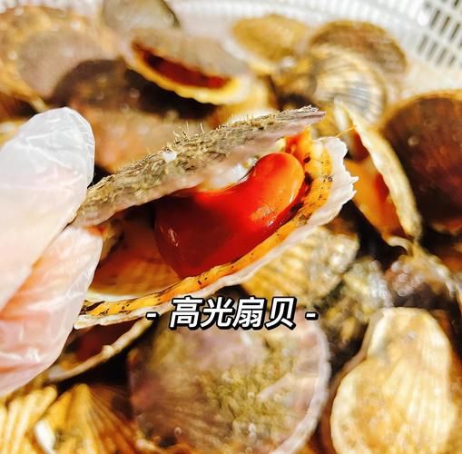 蒜蓉扇贝酱料怎么调_蒜蓉扇贝酱料的配方比例-第3张图片-山城妙识