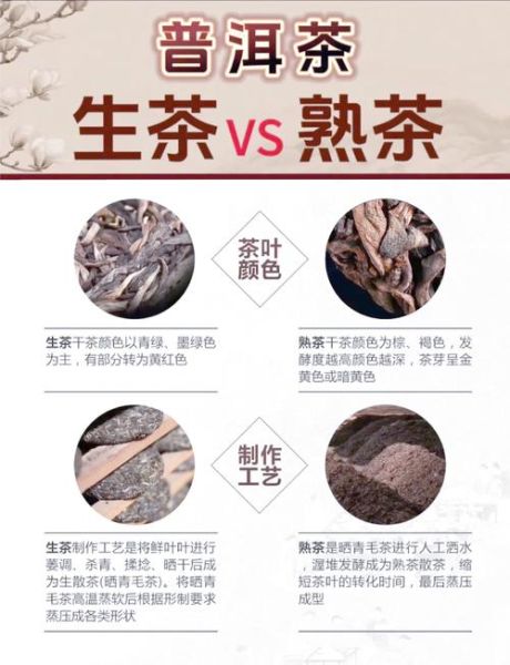 普洱茶能减肥吗_普洱茶的功效与作用有哪些-第3张图片-山城妙识