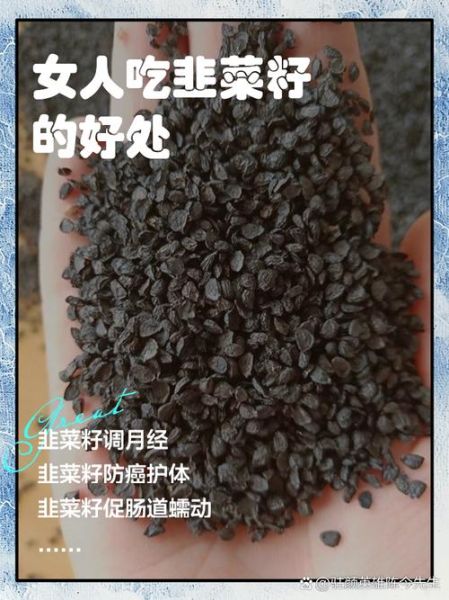 炒韭菜籽的功效与作用_炒韭菜籽的禁忌有哪些-第1张图片-山城妙识 炒韭菜籽的功效与作用_炒韭菜籽的禁忌有哪些-第1张图片-山城妙识