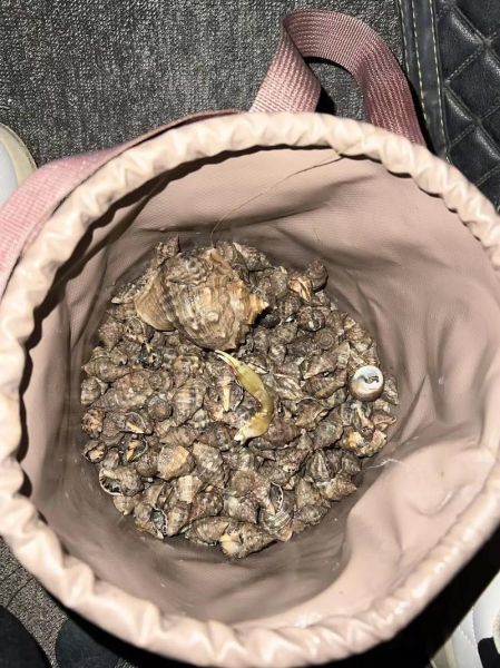 螃蟹有几条腿_螃蟹腿断了还能长出来吗-第3张图片-山城妙识 螃蟹有几条腿_螃蟹腿断了还能长出来吗-第3张图片-山城妙识